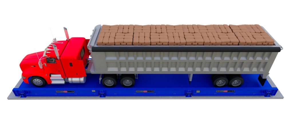 Peso Bruto, Tara y Neto | Básculas REVUELTA